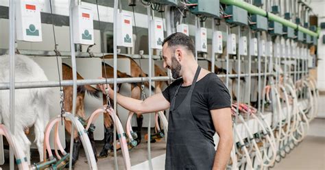 염소 농장에서 착유 과정에서 착유기의 젖꼭지를 삽입하는 남자 사진 Unsplash의 낙농 이미지