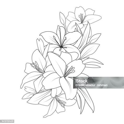 낙서 백합 꽃 색칠 공부 페이지 그리기 인쇄 요소를위한 선 아트 드로잉 백합에 대한 스톡 벡터 아트 및 기타 이미지 백합 벡터 꽃 식물 Istock