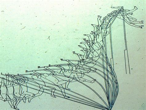 Apas Gallery Ariel Dynamics