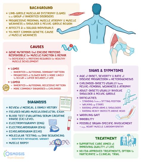 Limb Girdle Muscular Dystrophy What It Is Causes Signs And Symptoms Treatment And More