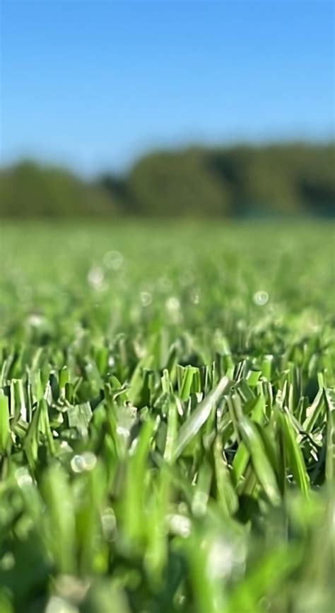 Landmark Investment In Next Generation Hybrid Stitching Machines Sis