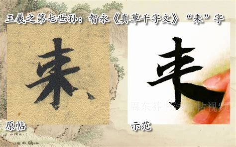 每日一字书法视频周东芬临隋智永真草千字文菜字 bilibili B站 无水印视频解析YIUIOS易柚斯