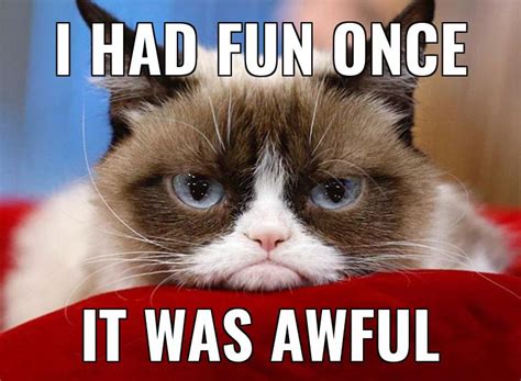 Fun With Functions Building A Serverless Meme Generator With Function