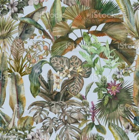 열대 식물 벽지입니다 열대 나뭇잎과 꽃이 있는 매끄러운 패턴 수채화로 그린 스톡 일러스트레이션 0명에 대한 스톡 벡터 아트 및 기타 이미지 Istock