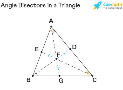 Segment Bisector Geometry