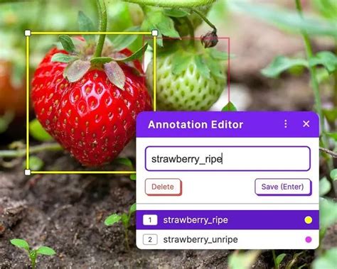 Outsource Data Labeling For Computer Vision