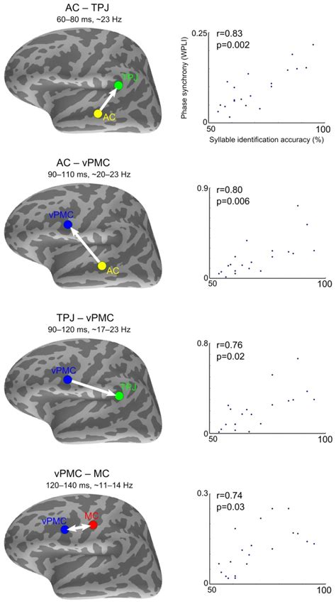 Correlations Between Inter Areal Phase Synchrony And Syllable Download Scientific Diagram
