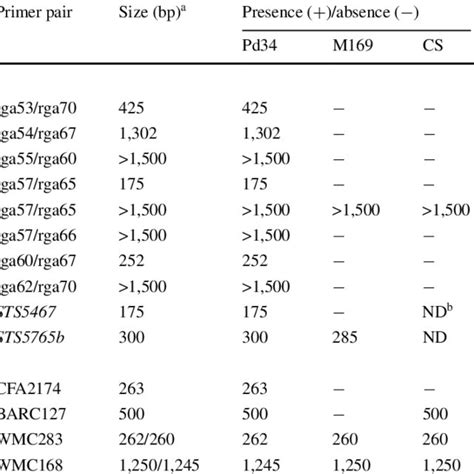 Gene Analog Polymorphism Rgap Simple Sequence Repeat Ssr And