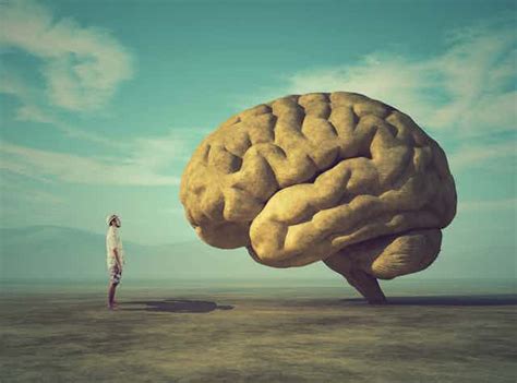 What Happens When Your Brain Looks At Itself