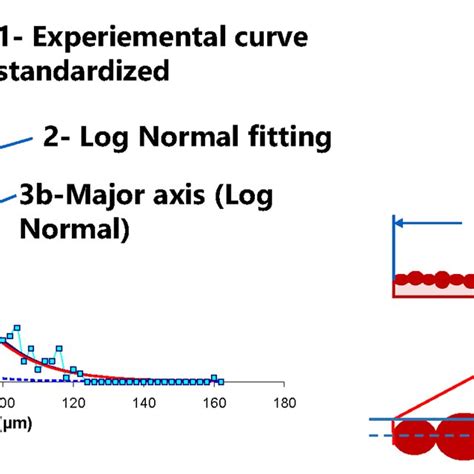 Left Separating The Experimental Curve Distribution Of Average Left Separating The Experimental Curve Distribution Of Average