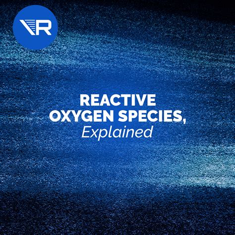 Ros Reactive Oxygen Species — Explained Vital Reaction