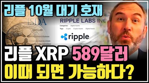 Xrp 아직 시작도 안 했다⎮ 리플 리플코인 리플소송 리플전망 Xrp Xrpnews 크립토블라블라 Youtube
