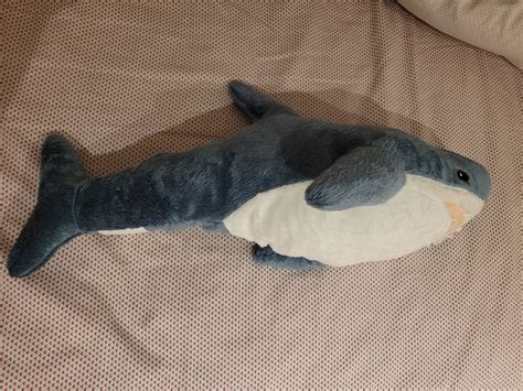 My Gf Gave Me A Blahaj For Valentines Day 🥰 Rtrans