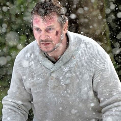 Liam Neeson The Grey