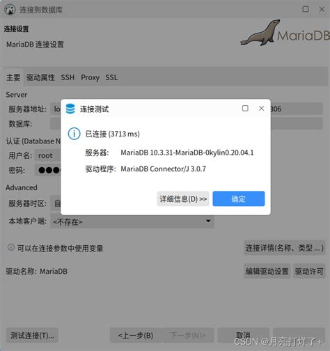 银河麒麟桌面操作系统安装dbeaver数据库连接工具 麒麟系统安装dbeaver csdn博客