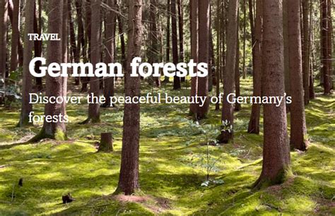 New In Sharepoint Editorial Card And Hero Web Parts For Better Internal Communication