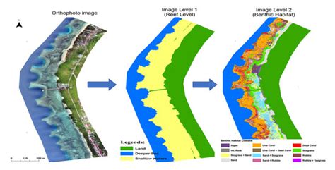 Remote Sensing Free Full Text Shallow Water Benthic Habitat Mapping Using Drone With Object
