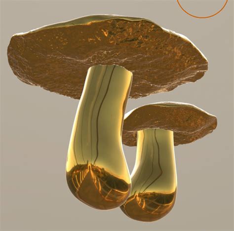 Suillus Luetus 3d Models Download Creality Cloud