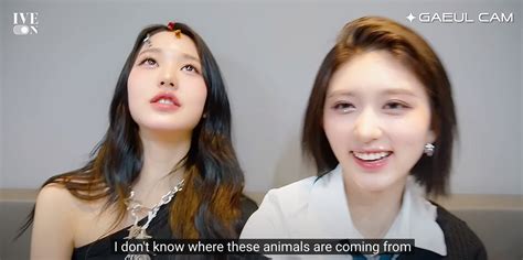 ˗ˏˋ⸍⸌̣ʷ̣̫⸍̣⸌ˎˊ˗ On Twitter น้องวอนยองมาบ่นให้พิกึลฟังว่าหนูคิดว่าตัวเองเป็นแมว แต่ไดบึเอาแต่