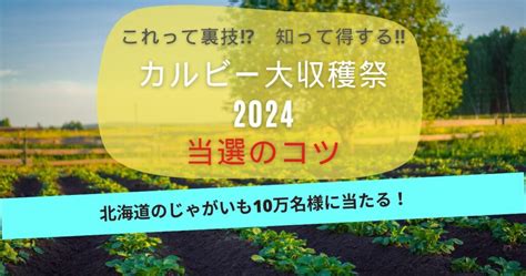 【当たらないなんて嘘】x（twitter）懸賞の始め方と注意点 エンタメキャンバス