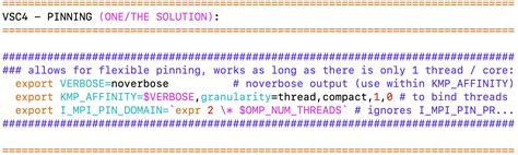 Mpix Vsc Mpiopenmp He Hy Hello Hybrid Pinning