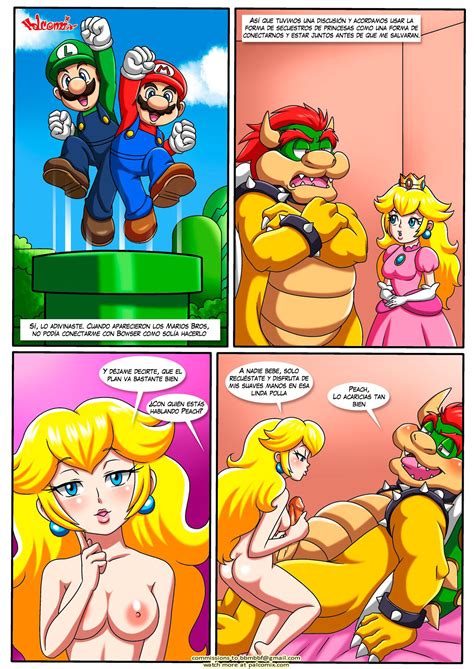 Palcomix The Mushroom Kingdom Secret Super Mario Bros