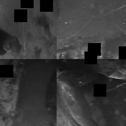 Yolov5 Underwater Object Object Detection Dataset And Pre Trained Model By Project