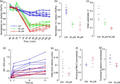 Ratio Of Total Pmlc Intensity In The Bulk And Peripheral Region