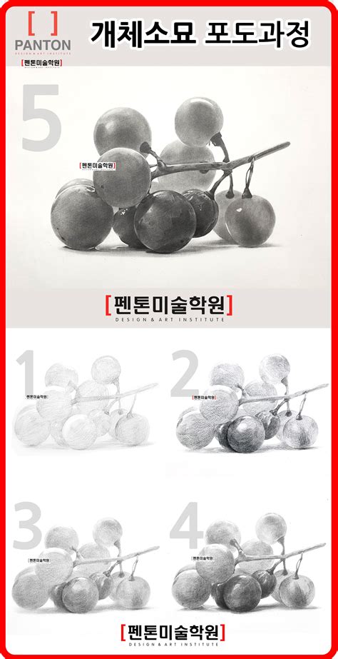 [펜톤미술학원][design Panton]포도 개체소묘 과정 참고자료 교재 [디자인펜톤]