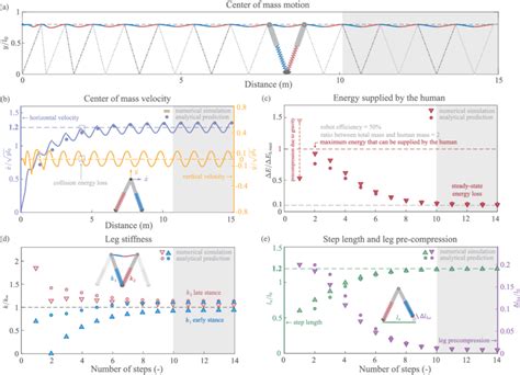 Numerical Simulation Results And The Corresponding Analytical