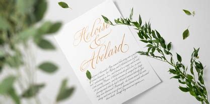 Wordless Script Font Webfont Desktop MyFonts