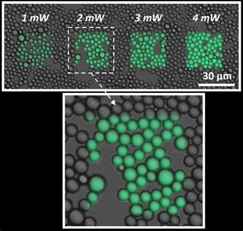 Precision Functionalisation Of Polymeric Microparticles