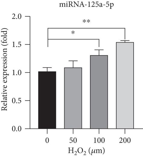 Oxidative Stress Induces Senescence Of Hadscs And Mir 125a 5p