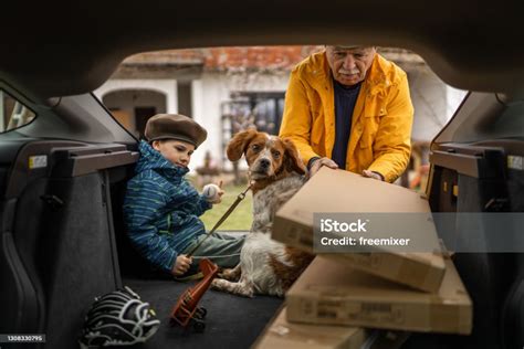 할아버지가 트렁크에서 상자를 따기 동안 자동차 트렁크에 자신의 개와 함께 앉아 소년 스패니얼에 대한 스톡 사진 및 기타 이미지 스패니얼 카드보드 2명 Istock