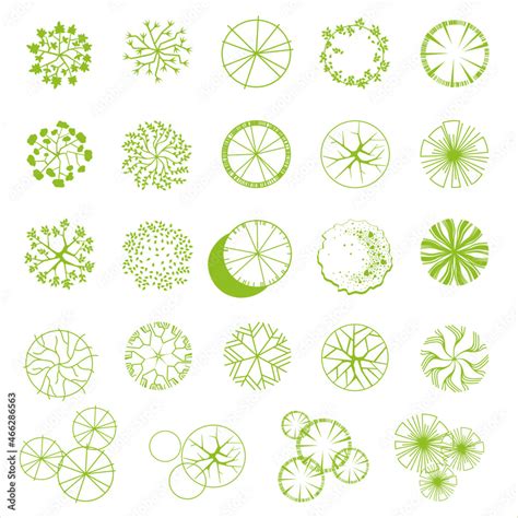 Trees For The Master Plan Tree Plans For Architectural Floor Plans Or Landscape Designs Stock