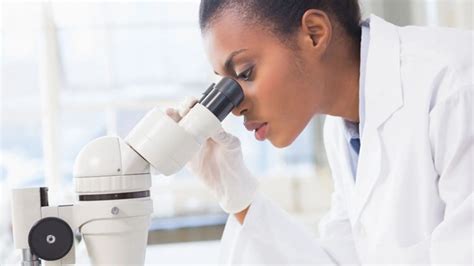 The Algorithm For Equality Rewiring Stem To Accelerate Girls And Women