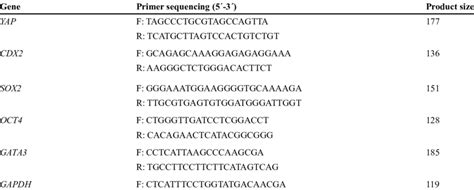 Primers Used For Quantitative Reverse Transcription Polymerase Chain