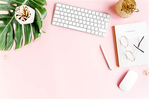 플랫 평신도 홈 오피스 데스크 컴퓨터와 여성 작업 공간 열대 야자수 잎 몬스터 분홍색 배경에 액세서리 맨 위 보기 배경 0명에 대한 스톡 사진 및 기타 이미지 Istock