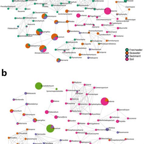 Correlation Network Analyses Showing The Correlations Of The Fungal