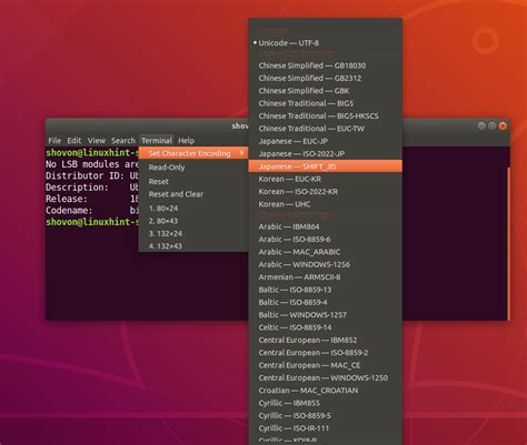 how to use gnome terminal app onet idc onet idc