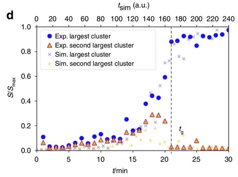 Experimental And Computer Simulation Observation Of Aggregating Download Scientific Diagram