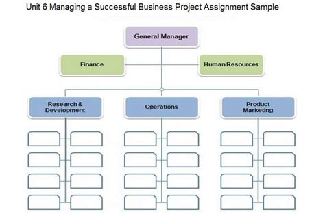 Unit 6 Managing Successful Business Project Assignment