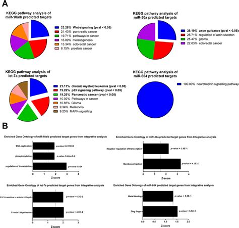 Kegg Pathway Analysis And Functional Annotation Clustering Of