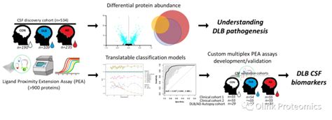 【nat Commun】coral 联盟新作｜olink蛋白质组学助力鉴别路易体痴呆症与阿尔兹海默症 Olink精准蛋白组服务提供商