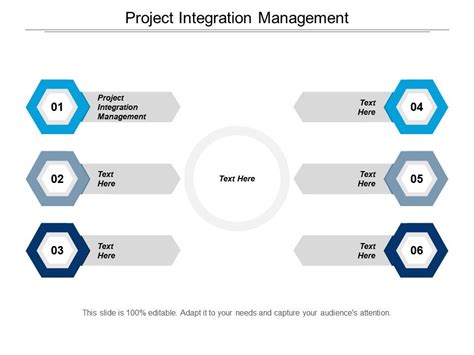 Project Integration Management Ppt Powerpoint Presentation Gallery Example Cpb Powerpoint