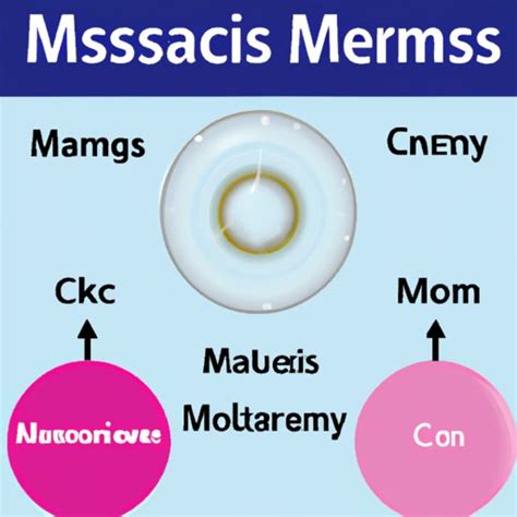 What Is The Meaning Of Mass In Science The Enlightened Mindset