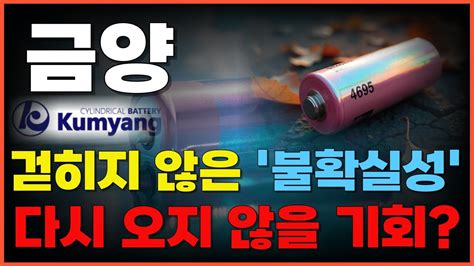 🔥 금양 🔴정해진 미래 이제 살때 Youtube