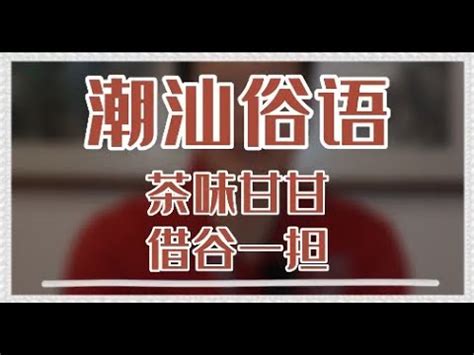 老许闲谈丨会品茶好说话 潮汕故事 YouTube