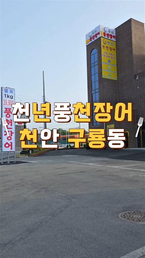 이수남 협찬 플러스에어 가볍고 강력한 바람 Bldc 모터 드라이기 마타하리 더 블랙 머리 말릴 때마다 감탄하는 요즘 뜨거운 바람이 풍부하게 나와서 추위 많이 타는