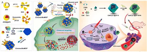 Surface Functionalization Of Metalorganic Framework Nanoparticle For Overcoming Biological